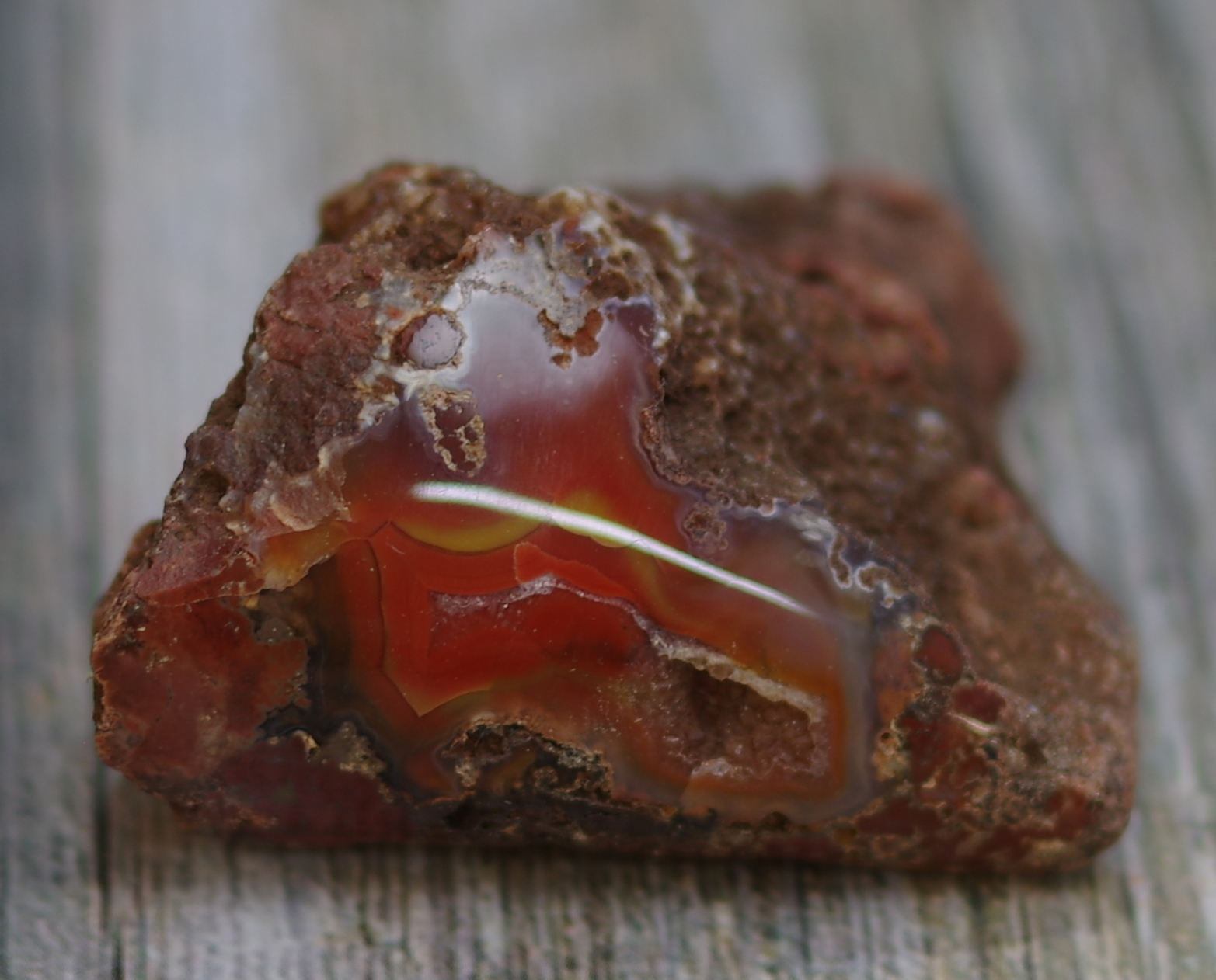 Wyoming Mountaineers Lapidary